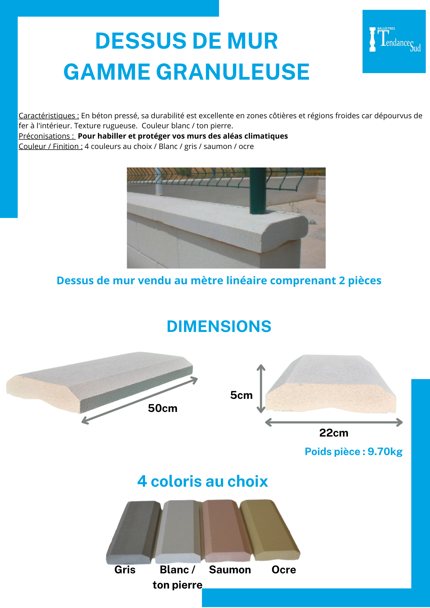 Vente de Dessus de Muret en Pierre - Aspect Lisse, Pierre